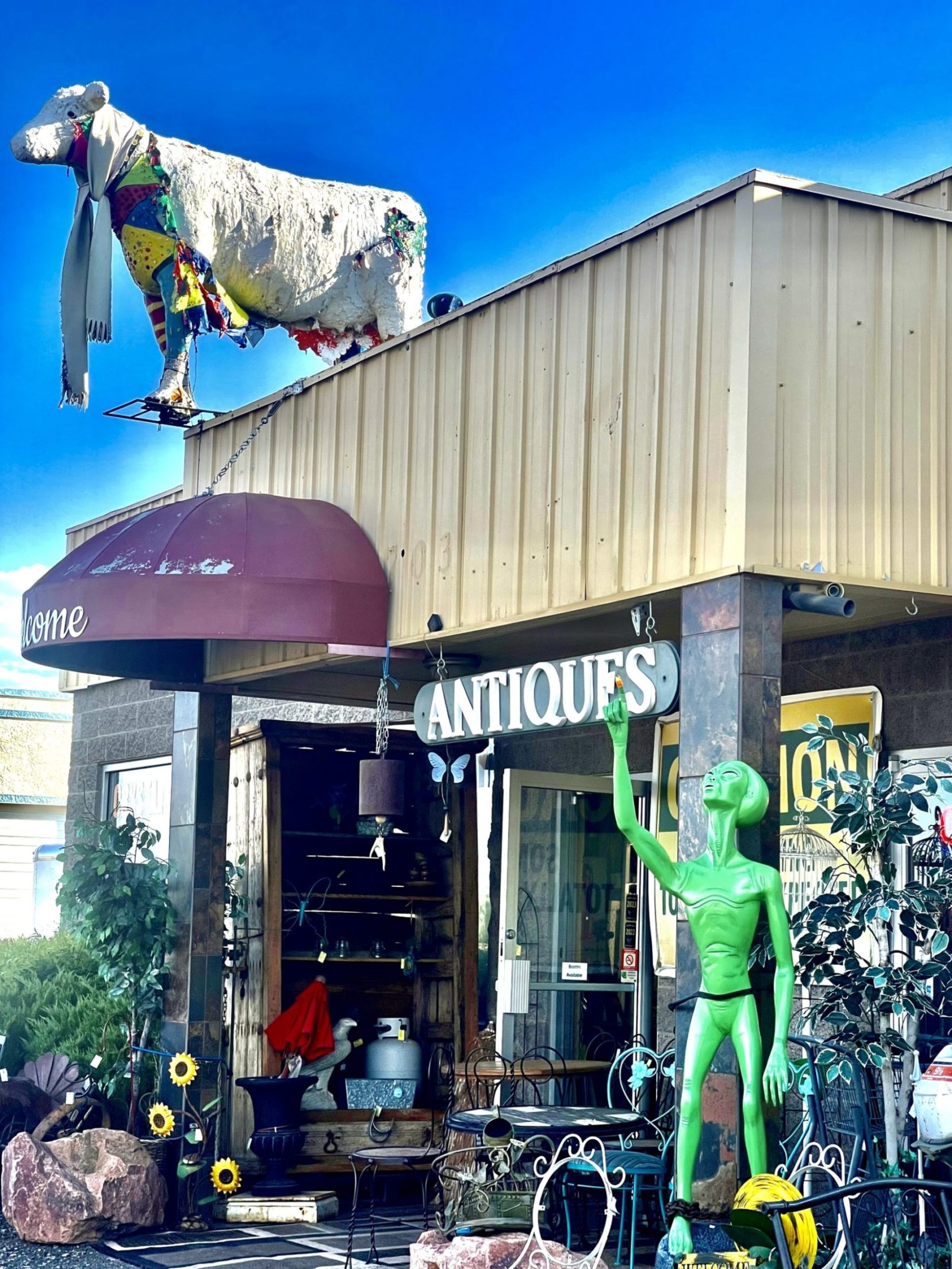 Sedona UFO and Vortex tours, Sedona UFO Tours, Sedona Vortex Tour,